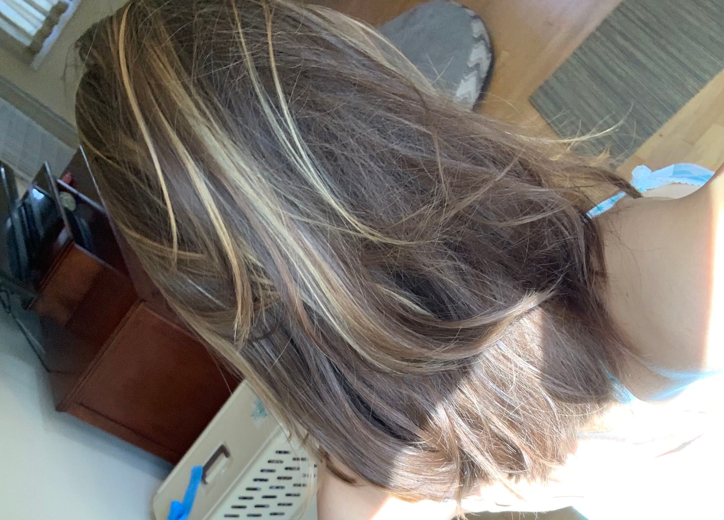 desperately need help finding a new sham... - Beauty Insider Community