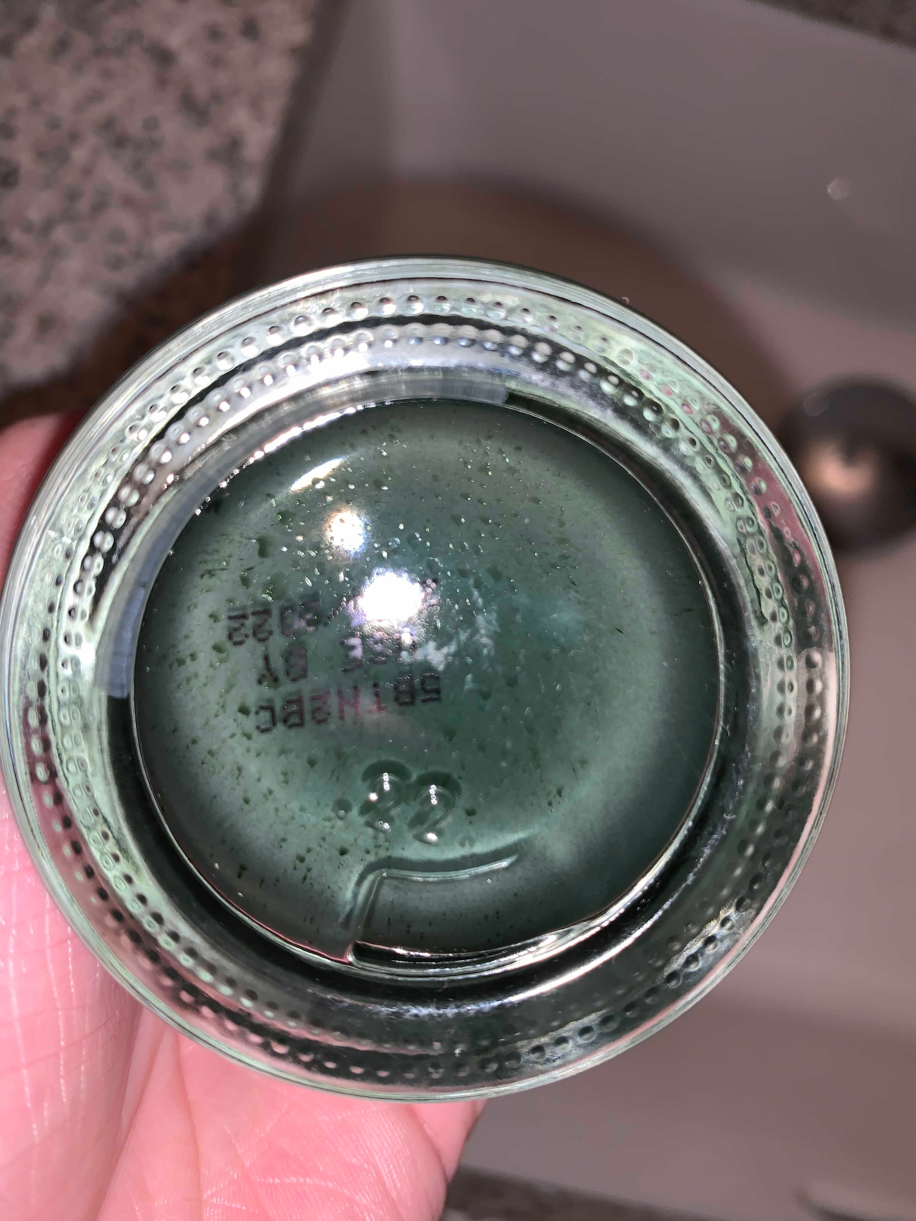 MOLDY HERBIVORE BLUE TANSY MASK - Beauty Insider Community