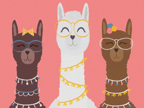 Happy Llama Day 2020, BIC! Show us Your ... - Beauty Insider Community