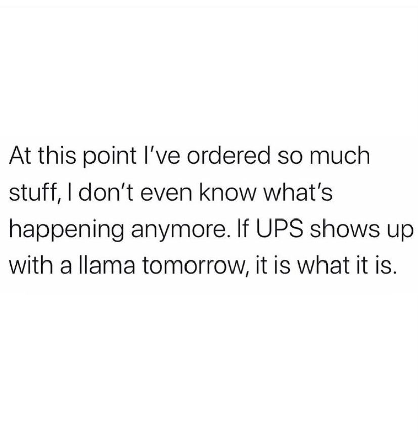 Happy Llama Day 2020, BIC! Show us Your ... - Beauty Insider Community