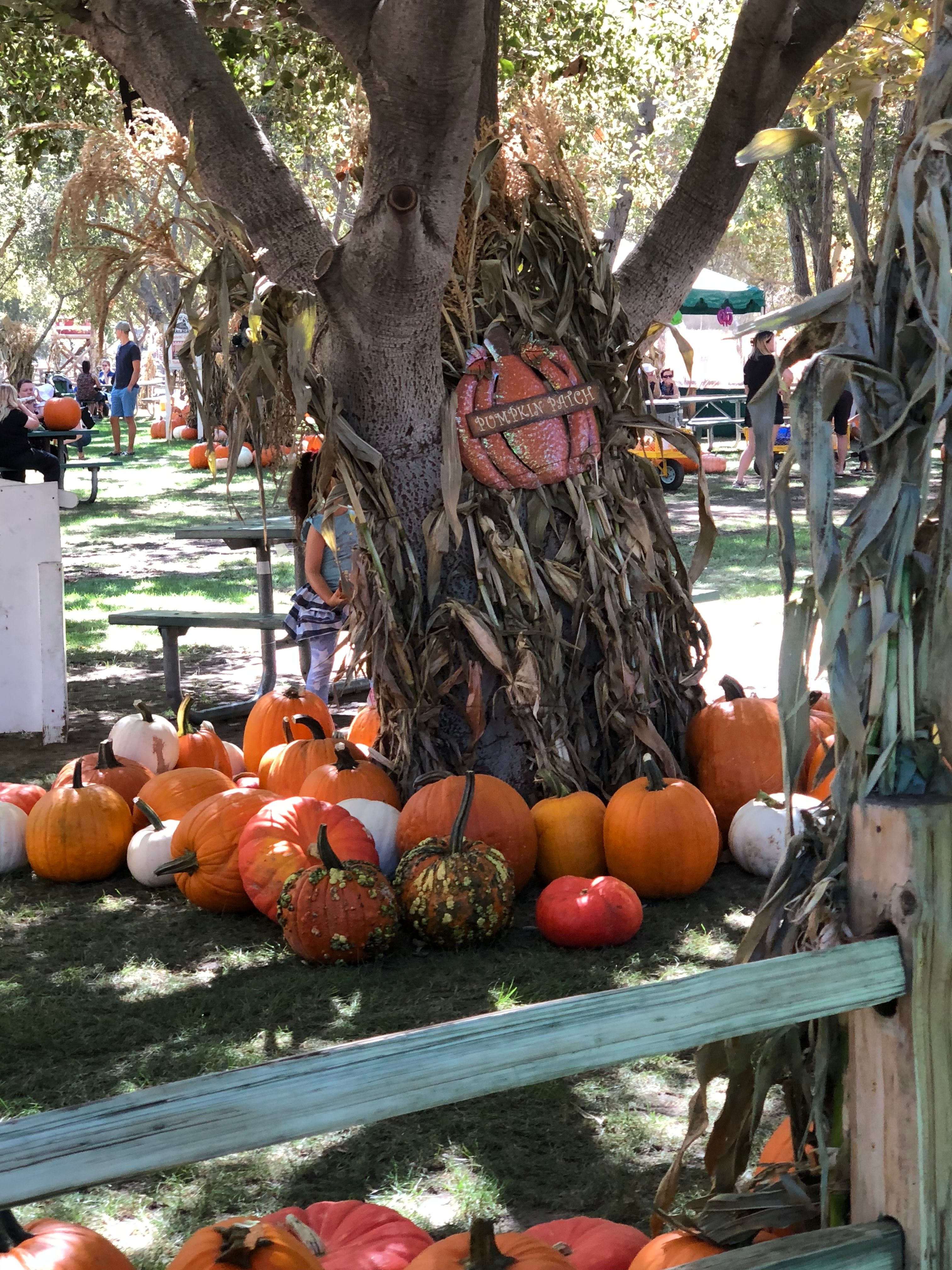 BIC's 2022 Countdown to Halloween Thread... - Beauty Insider Community