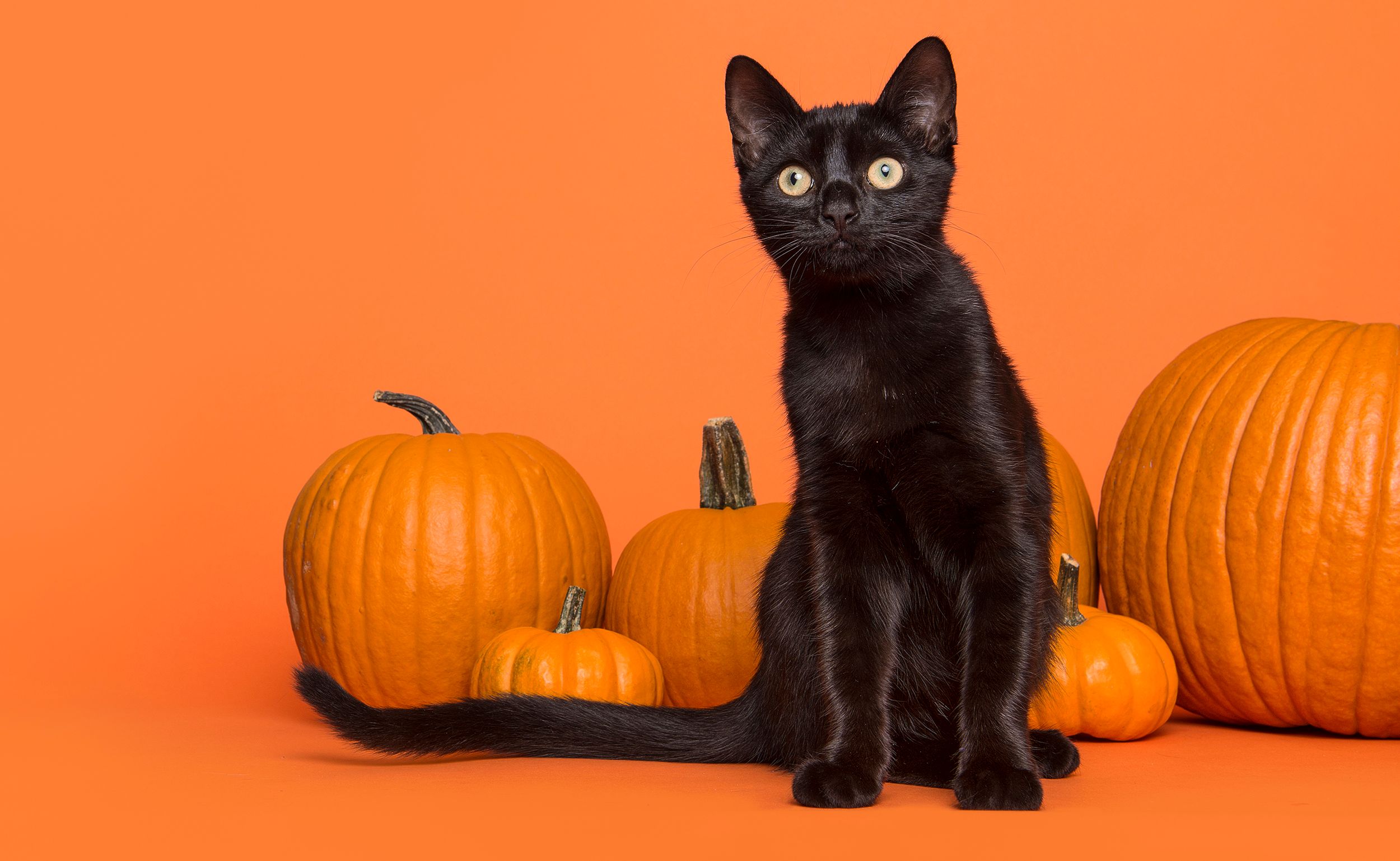 BIC's 2023 Countdown to Halloween Thread... - Beauty Insider Community