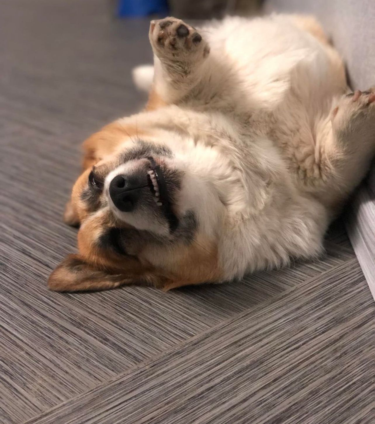 Re: Sephora Savings Event – Holiday 2023... - Beauty Insider Community