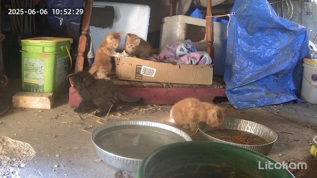 Working Towards Wellness: June 2025 - Page 7 - Beauty Insider Community